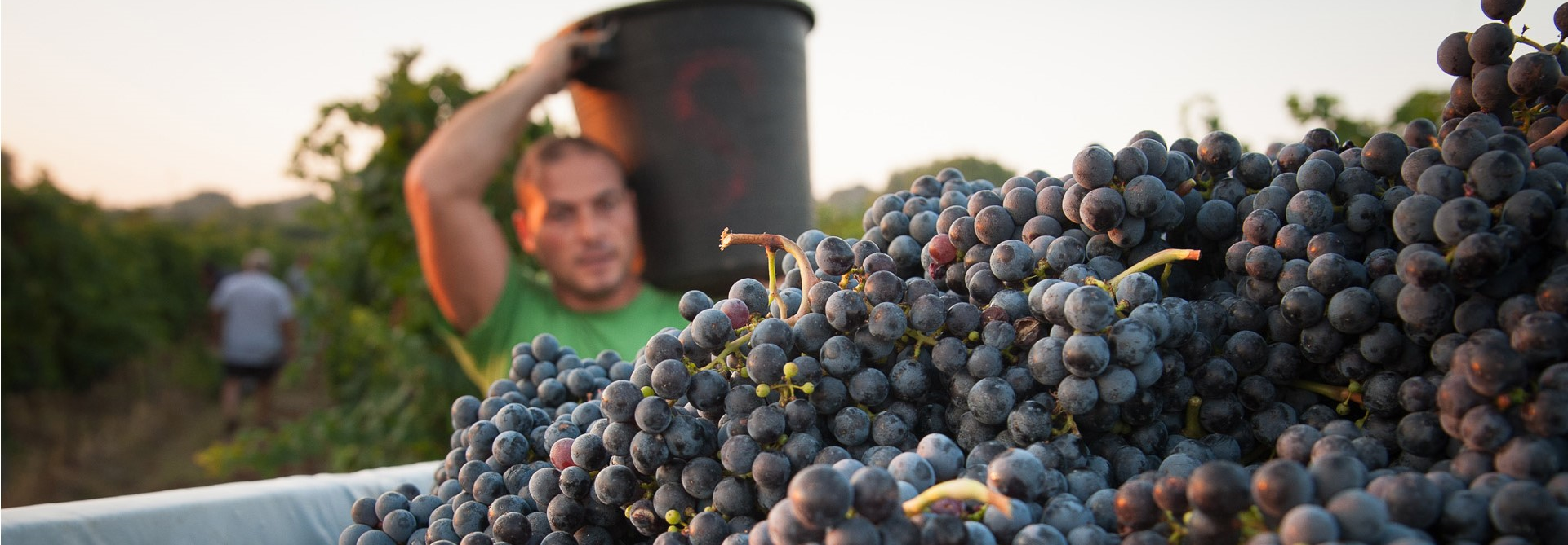 Menhir Salento Kelkie.nl